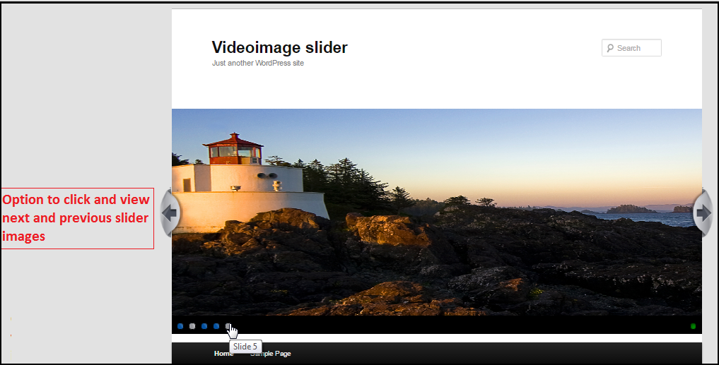 WordPress Video and Image Slider Plugin | Module Bazaar